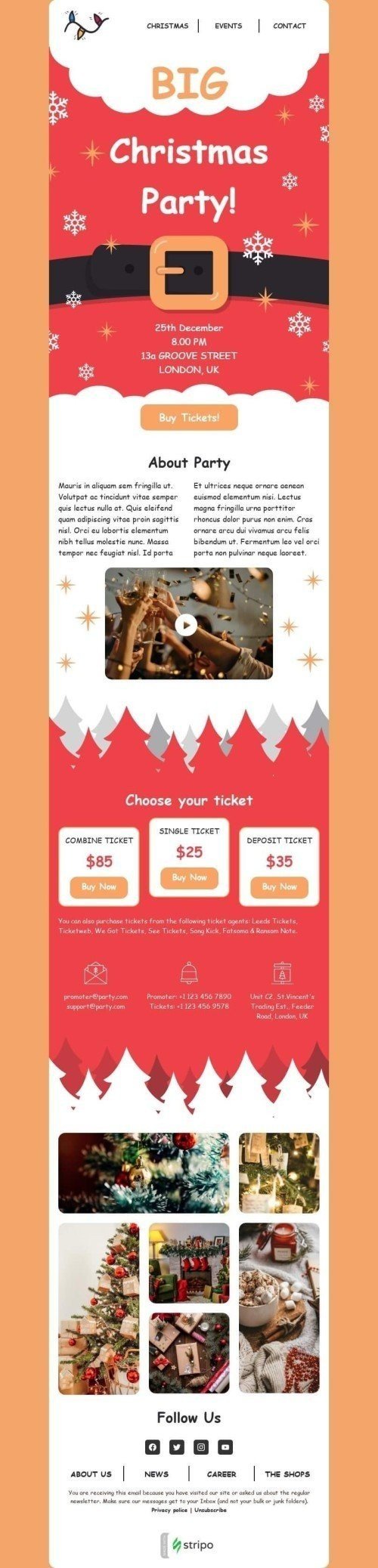 Big Christmas Party Email Template By Anastasiia Babintseva Stripo email